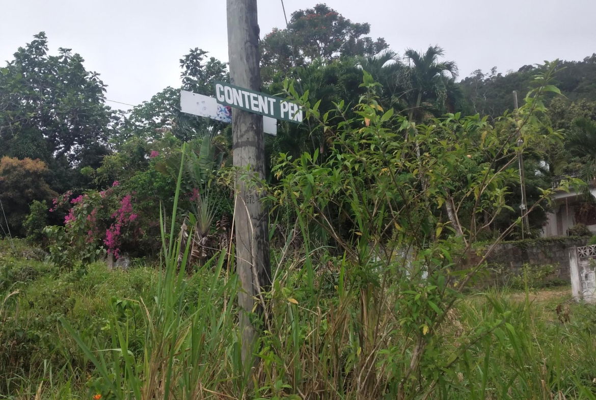 18 Acres of Prime Farm Land for Sale in St. Ann, Jamaica