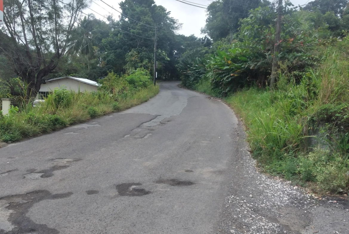 18 Acres of Prime Farm Land for Sale in St. Ann, Jamaica