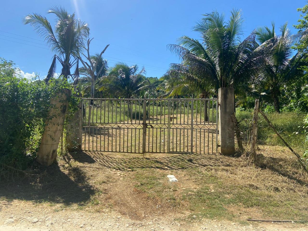 21.84 Acres Farm for Sale in Trelawny, Jamaica - Fully Operational