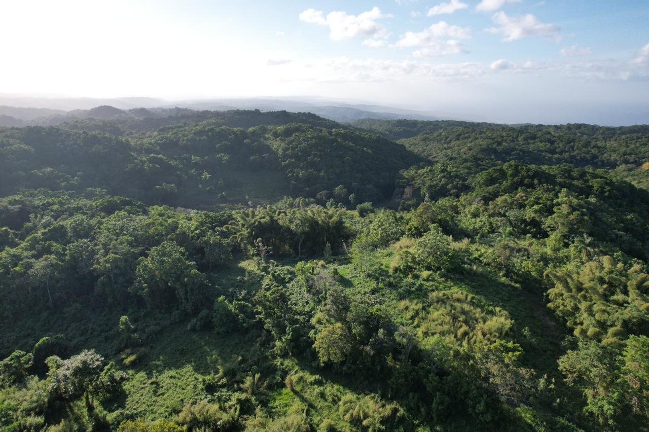68-Acre Residential Lot for Sale in Southfield Estate, Jamaica