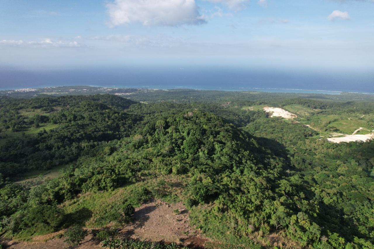 7-Acre Development Land for Sale in Southfield Estate, Jamaica