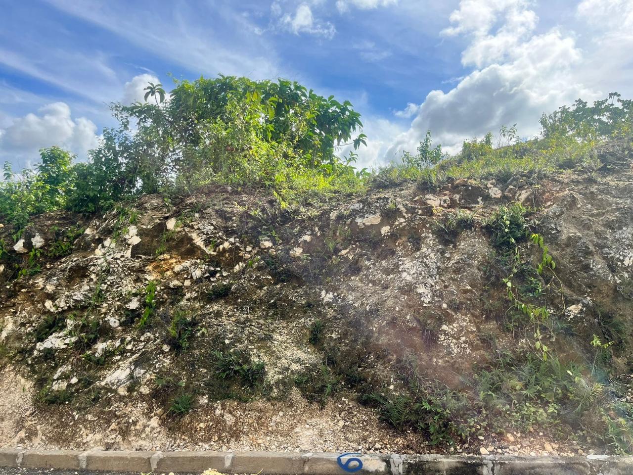 Elevated Residential Lot for Sale in St. Catherine, Jamaica