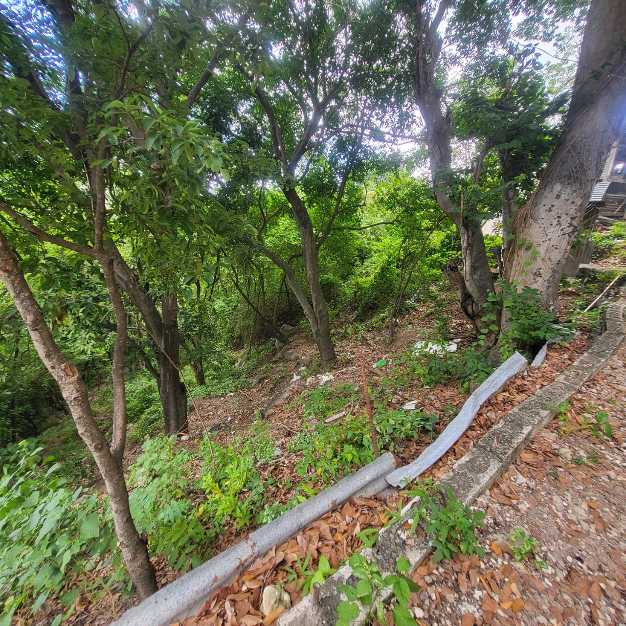 Fertile Development Land for Sale in St. Andrew, Jamaica