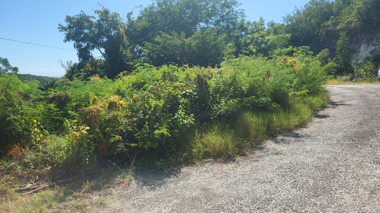 Prime Residential Lot for Sale in Albion Estate, St. Thomas