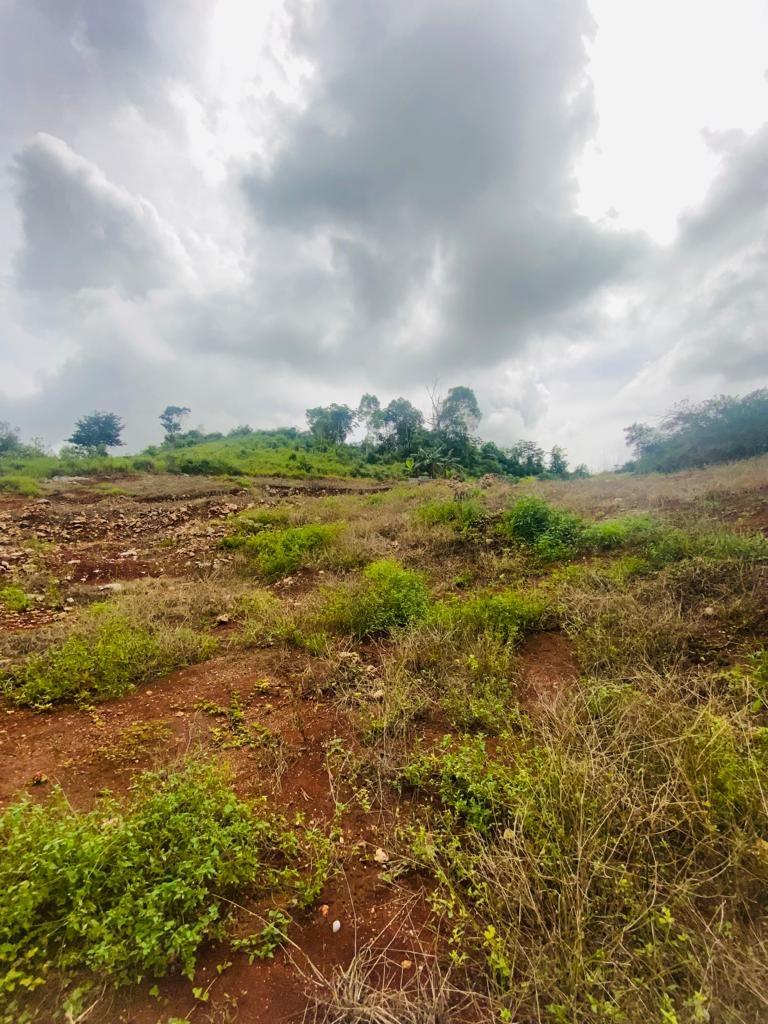 Prime Residential Lot for Sale in Wilson Pen, Manchester