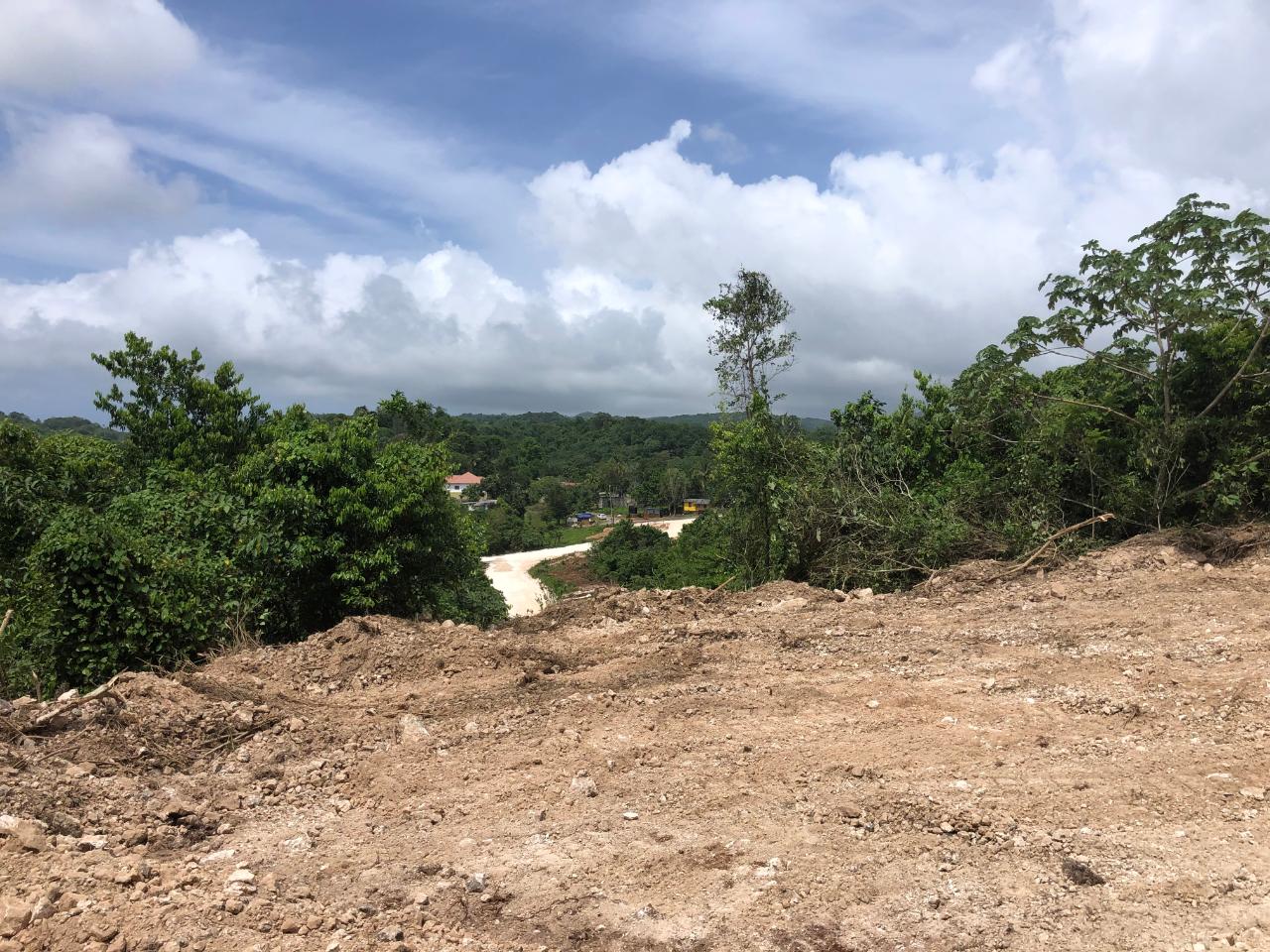 Prime Residential Lots for Sale in Brown's Town, St. Ann, Jamaica