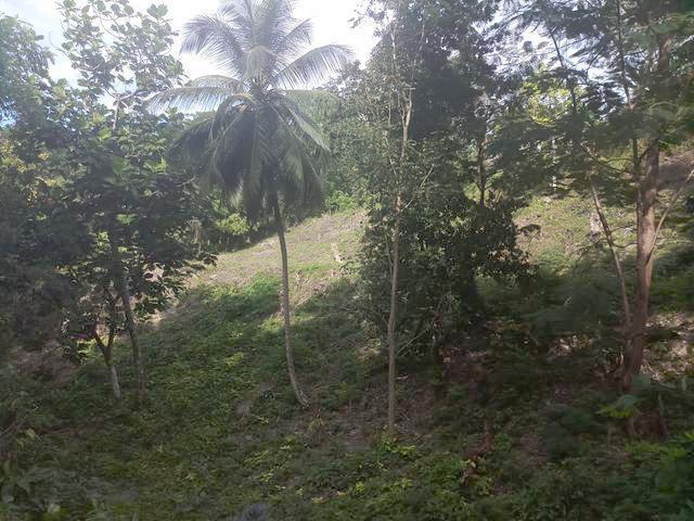 Residential Lot for Sale in Clarridge Hall, St. James, Jamaica