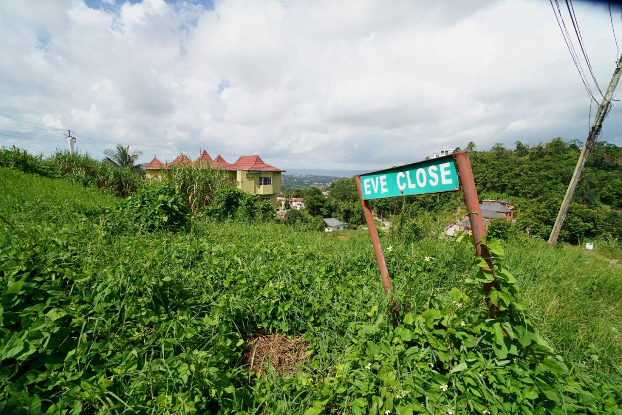 Residential Lot for Sale in Dunrobin, Mandeville - 1/4 Acre with ...