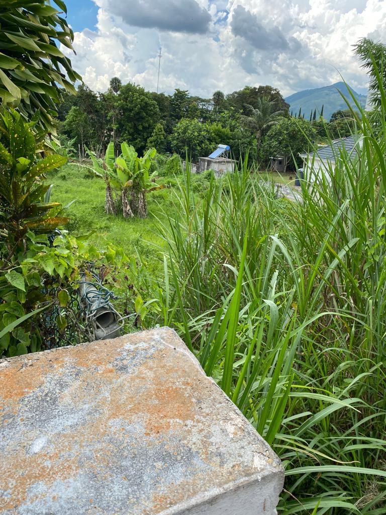 Residential Lot for Sale in Williamsfield Gardens, Manchester, Jamaica