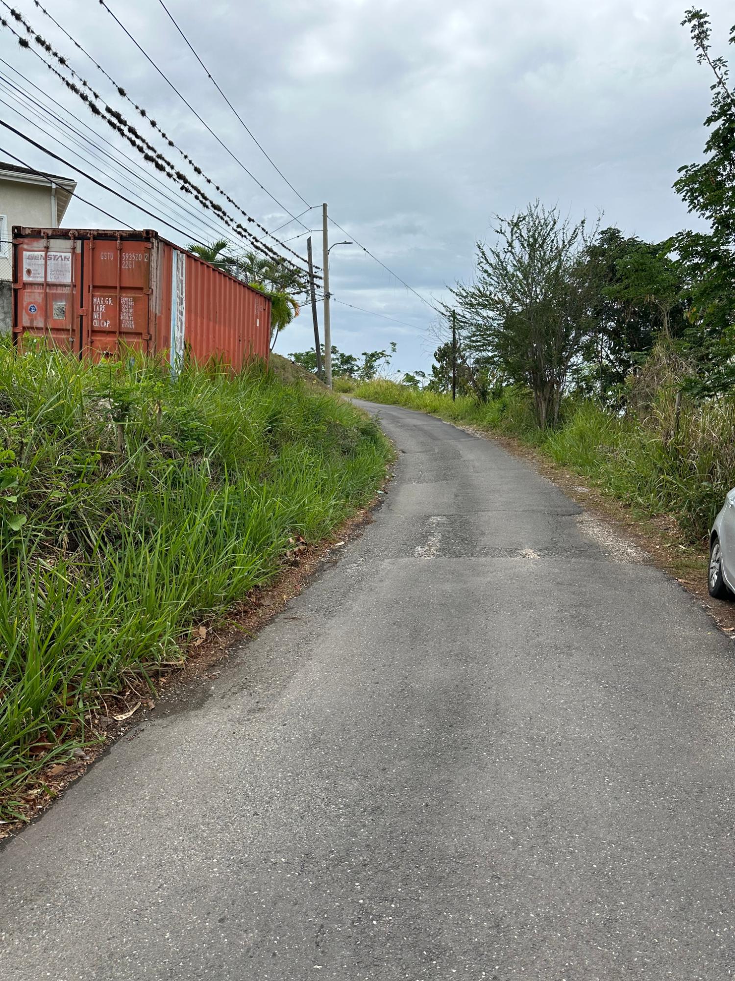 Stunning 1-Acre Residential Lot for Sale in Jacks Hill, Jamaica