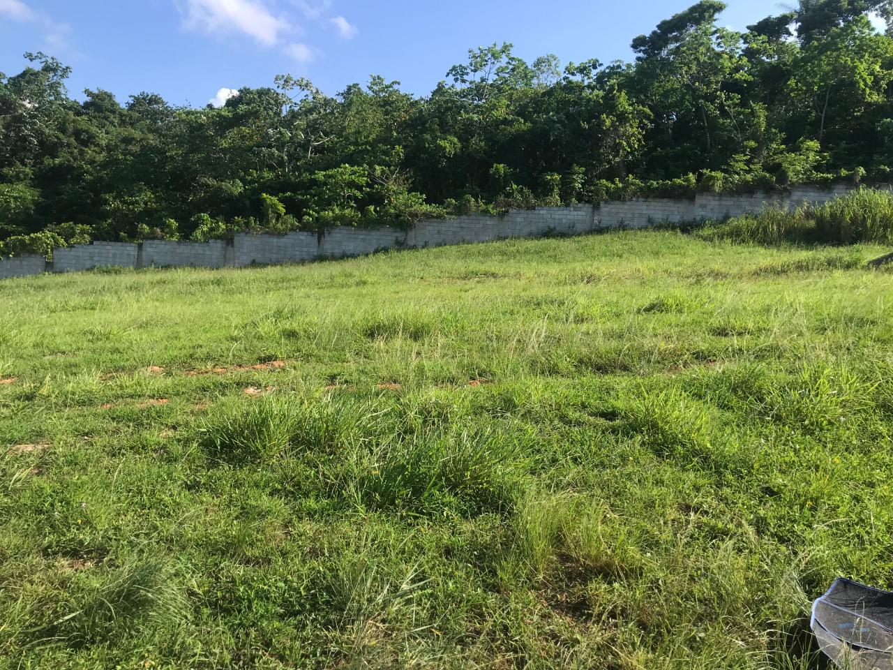 Stunning Residential Lot for Sale in Edge Hill Estate, St. Mary, Jamaica