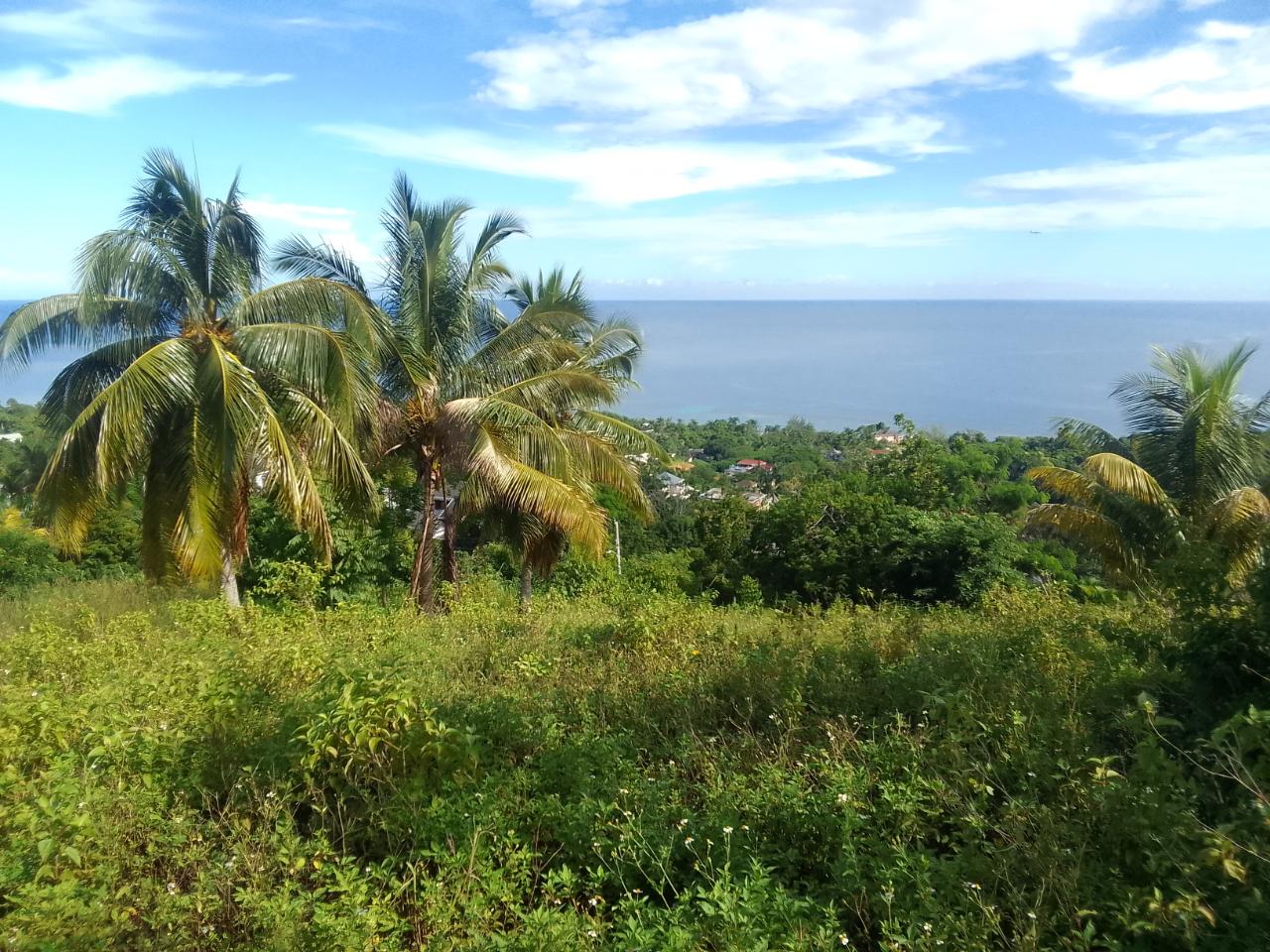 Stunning Residential Lot for Sale in Unity Hall, Jamaica