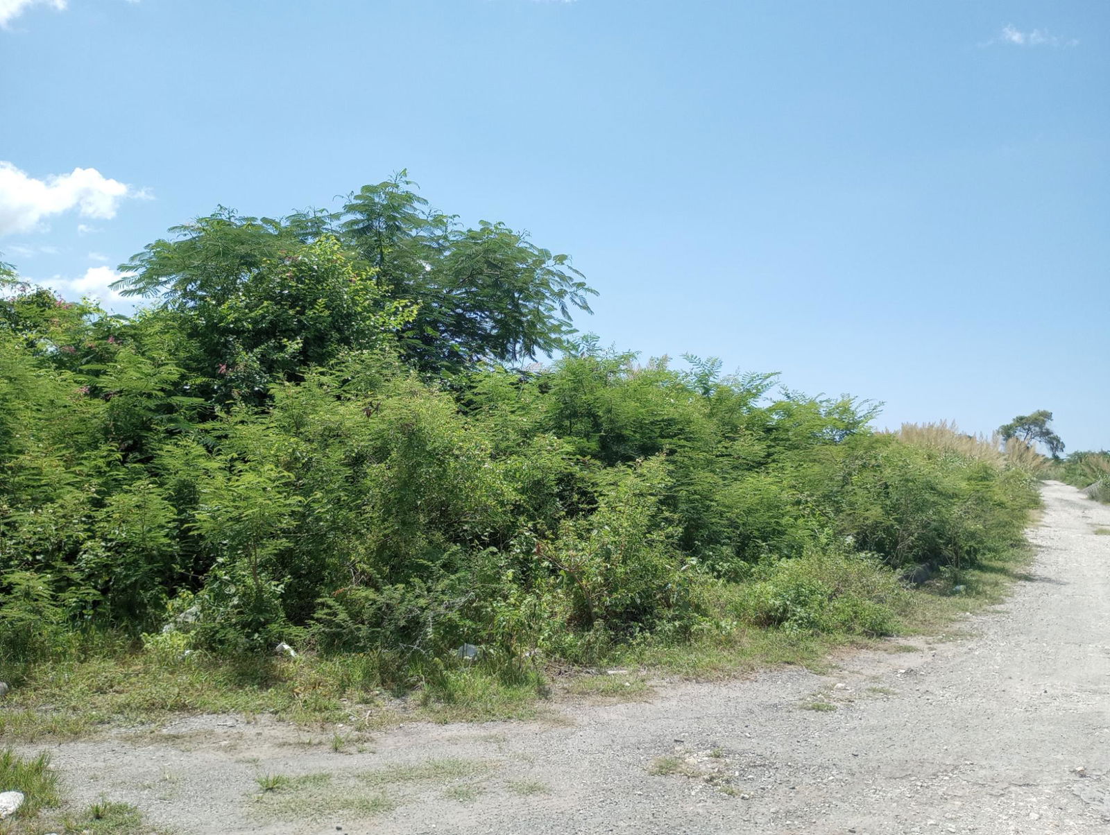 Build Your Dream Home in Albion Estate, St. Thomas, Jamaica