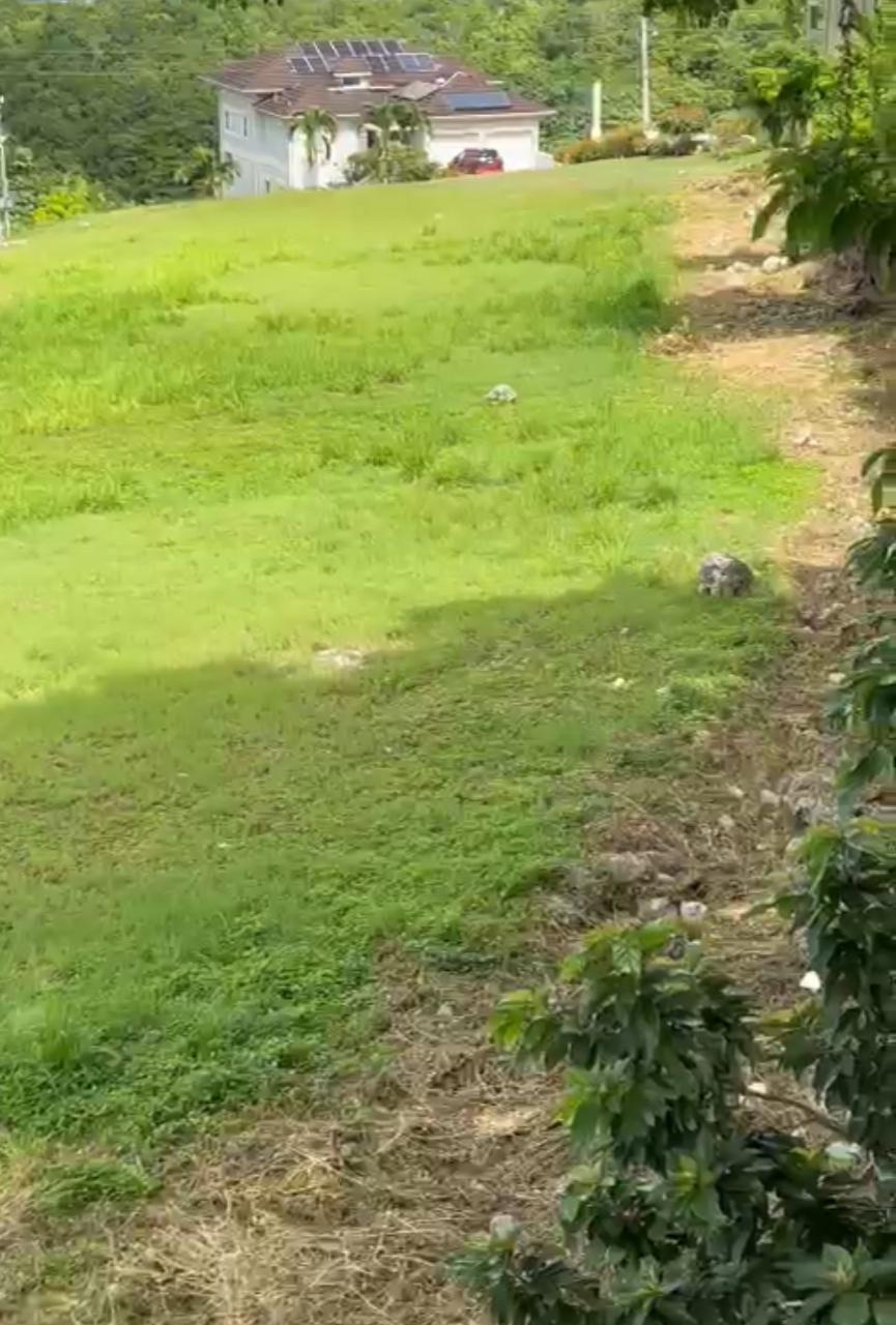 Luxury Residential Lot for Sale in Reading Heights, Jamaica