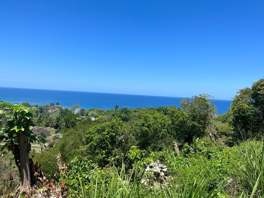 Vacant Lot for Sale in Unity Hall, St. James - Breathtaking Caribbean Views