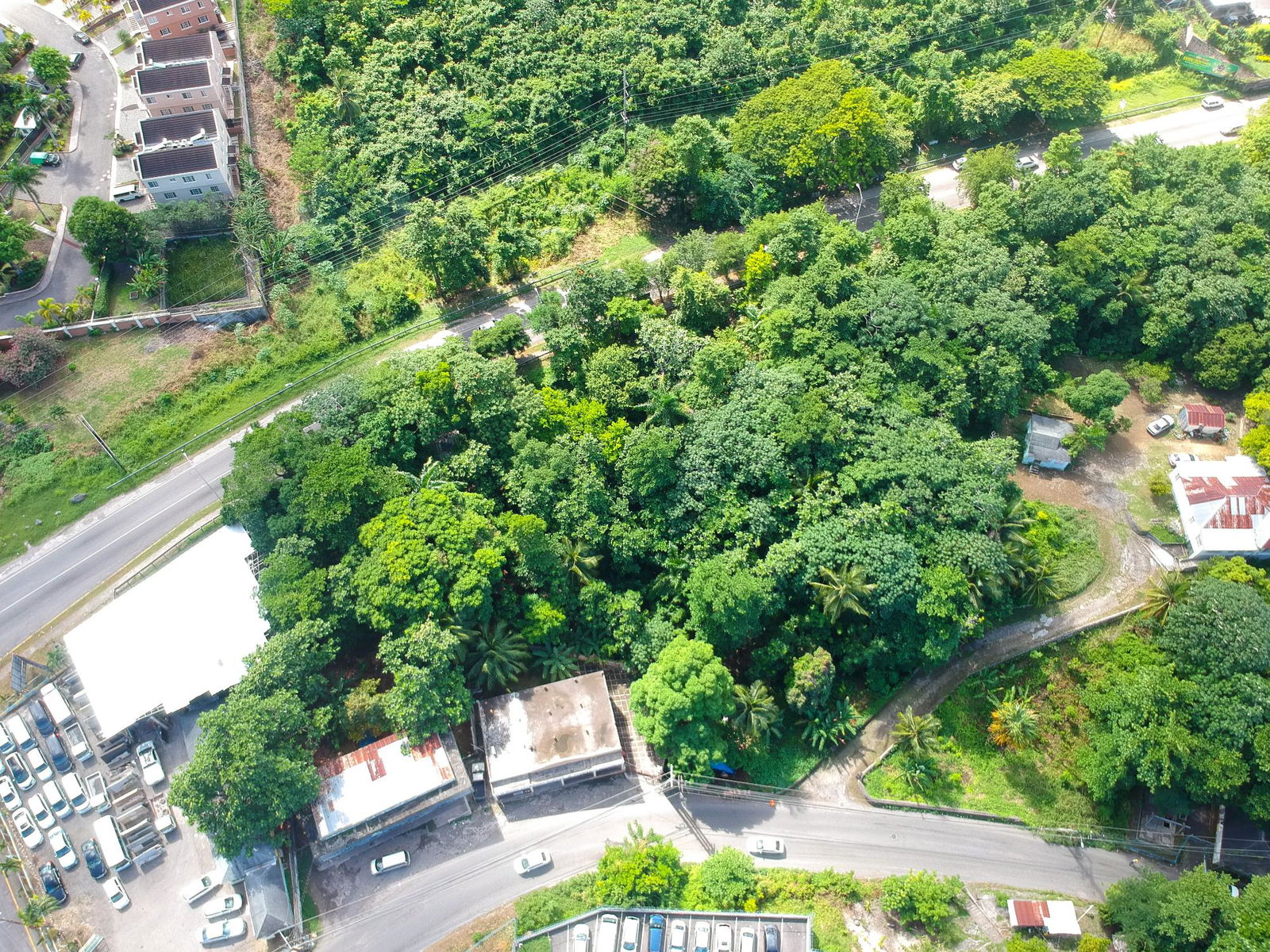 Prime 1.8-Acre Development Land for Sale in Ocho Rios, Jamaica