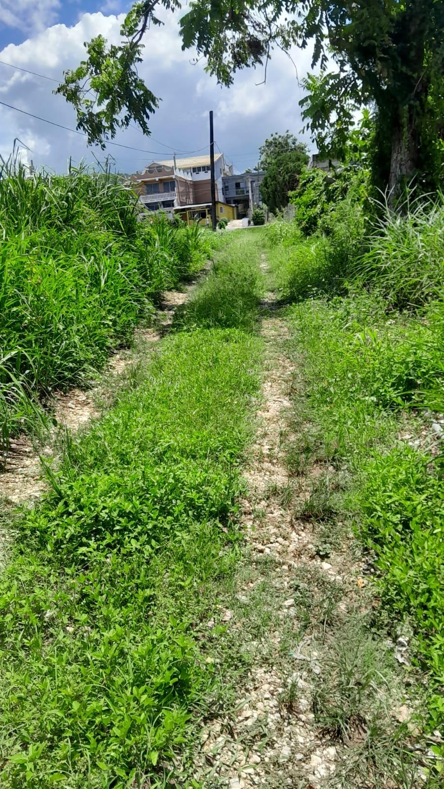 Prime Beachfront Land for Sale in Hopewell, Hanover, Jamaica