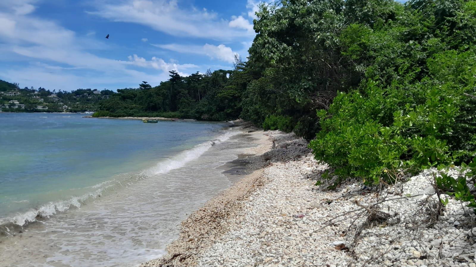 Prime Beachfront Land for Sale in Hopewell, Hanover, Jamaica