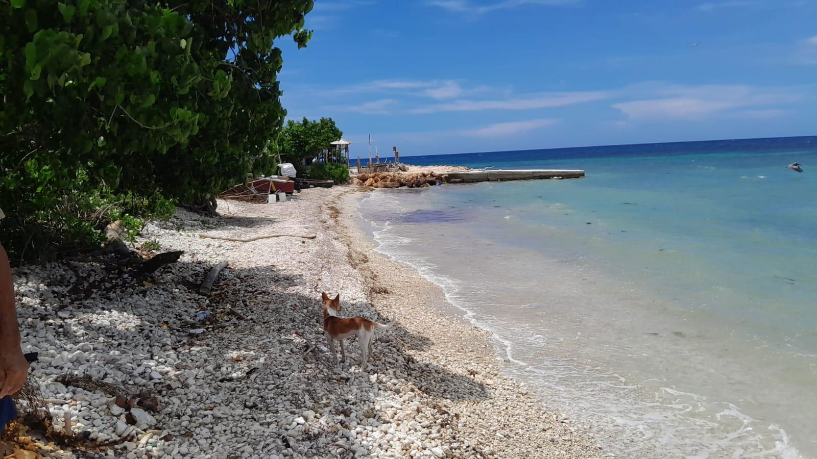 Prime Beachfront Land for Sale in Hopewell, Hanover, Jamaica