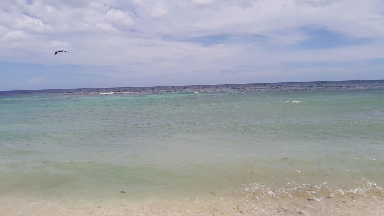 Prime Beachfront Land for Sale in Hopewell, Hanover, Jamaica