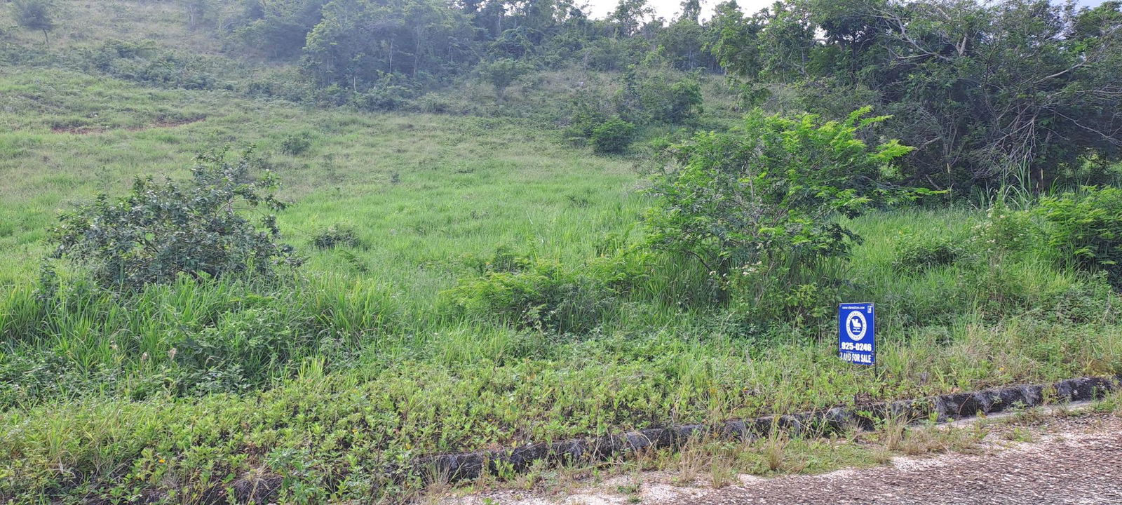 Residential Lot for Sale in Manchester, Jamaica - 11b Part of Brokenhurst