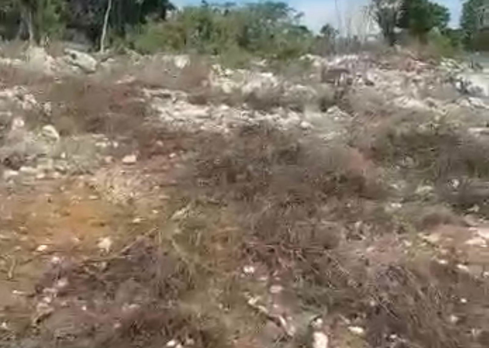 Residential Lot for Sale in Spur Tree, Manchester - Build Your Dream Home