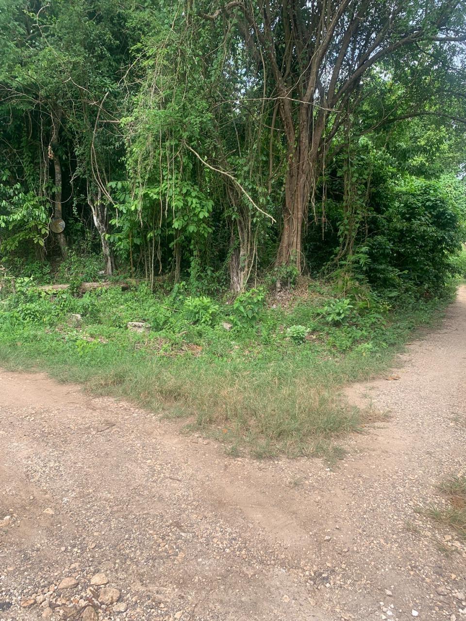 Residential Lot for Sale in Cardiff Hall, Runaway Bay - Prime Location