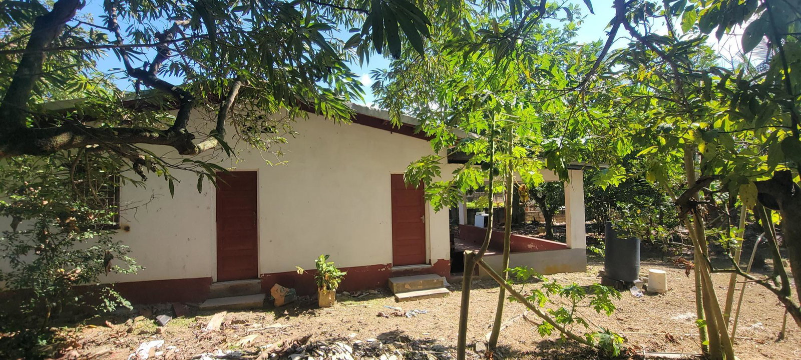 Budget-Friendly 2-Bedroom House for Sale in Bog Walk, Jamaica