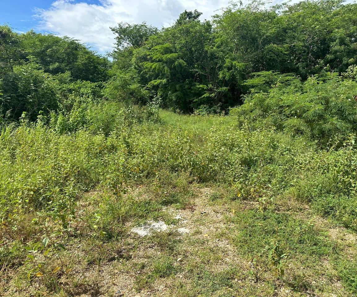 Prime Commercial Lot for Sale on Port Henderson Road, St. Catherine