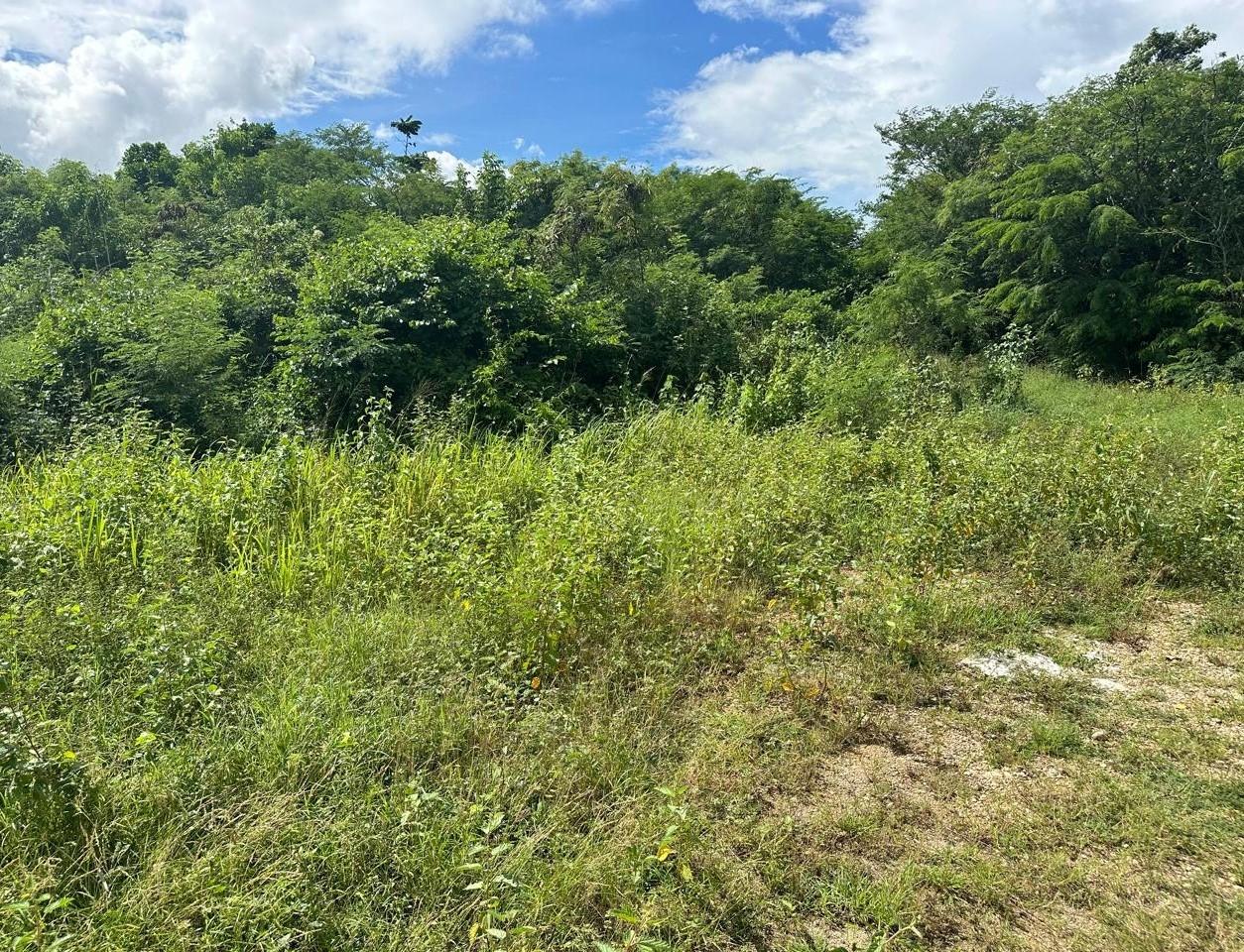 Prime Commercial Lot for Sale on Port Henderson Road, St. Catherine