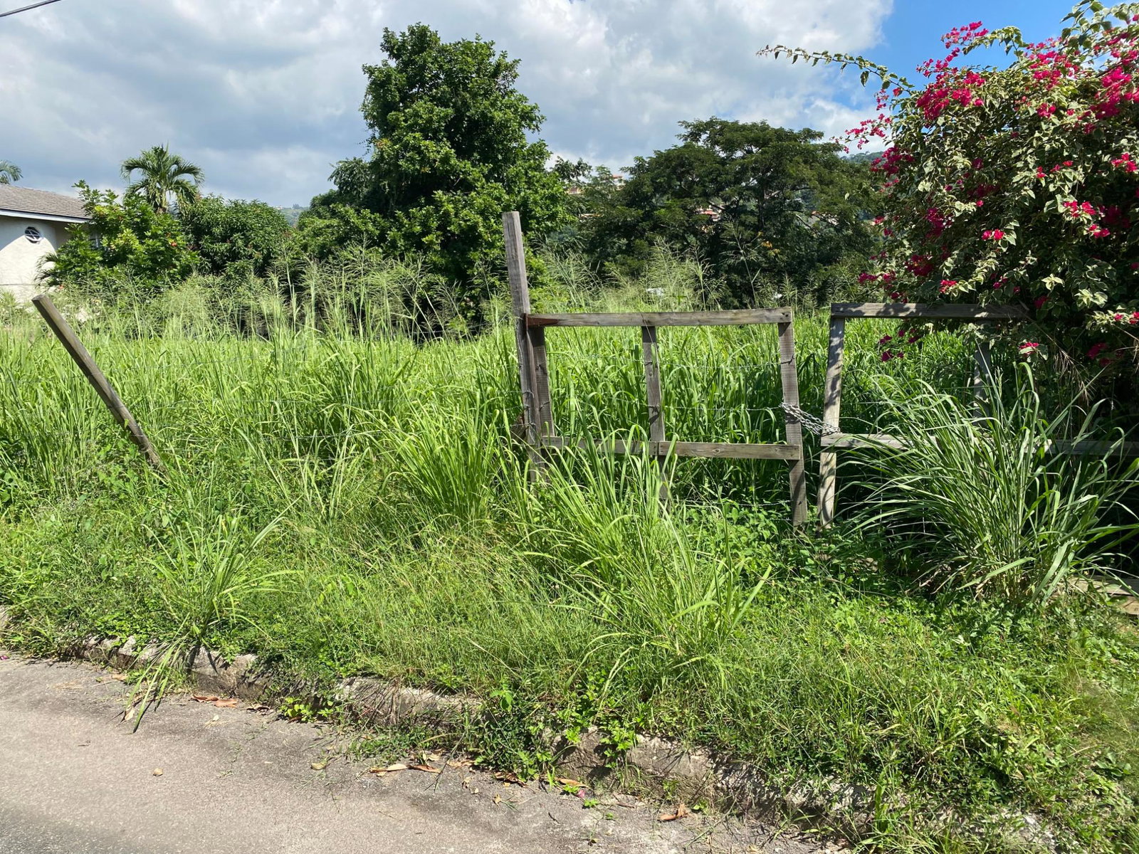 Prime Residential Lot for Sale in Cherry Garden, St. Andrew