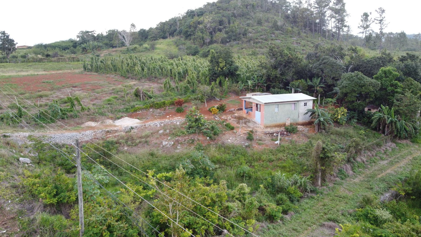 Residential Land for Sale in Christiana, Manchester - Dunham Farm