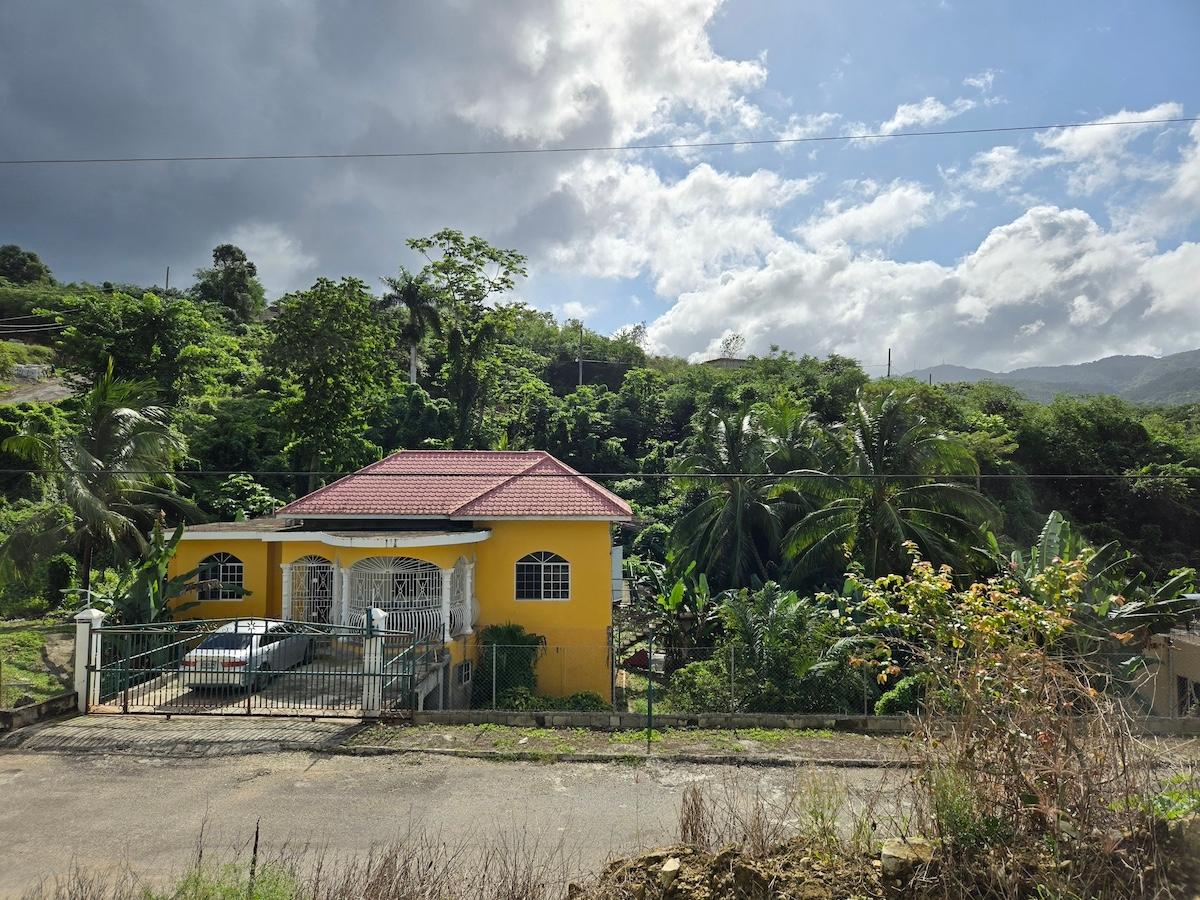 Residential Lot for Sale in St. James, Jamaica - Lot 136 Irwin Point