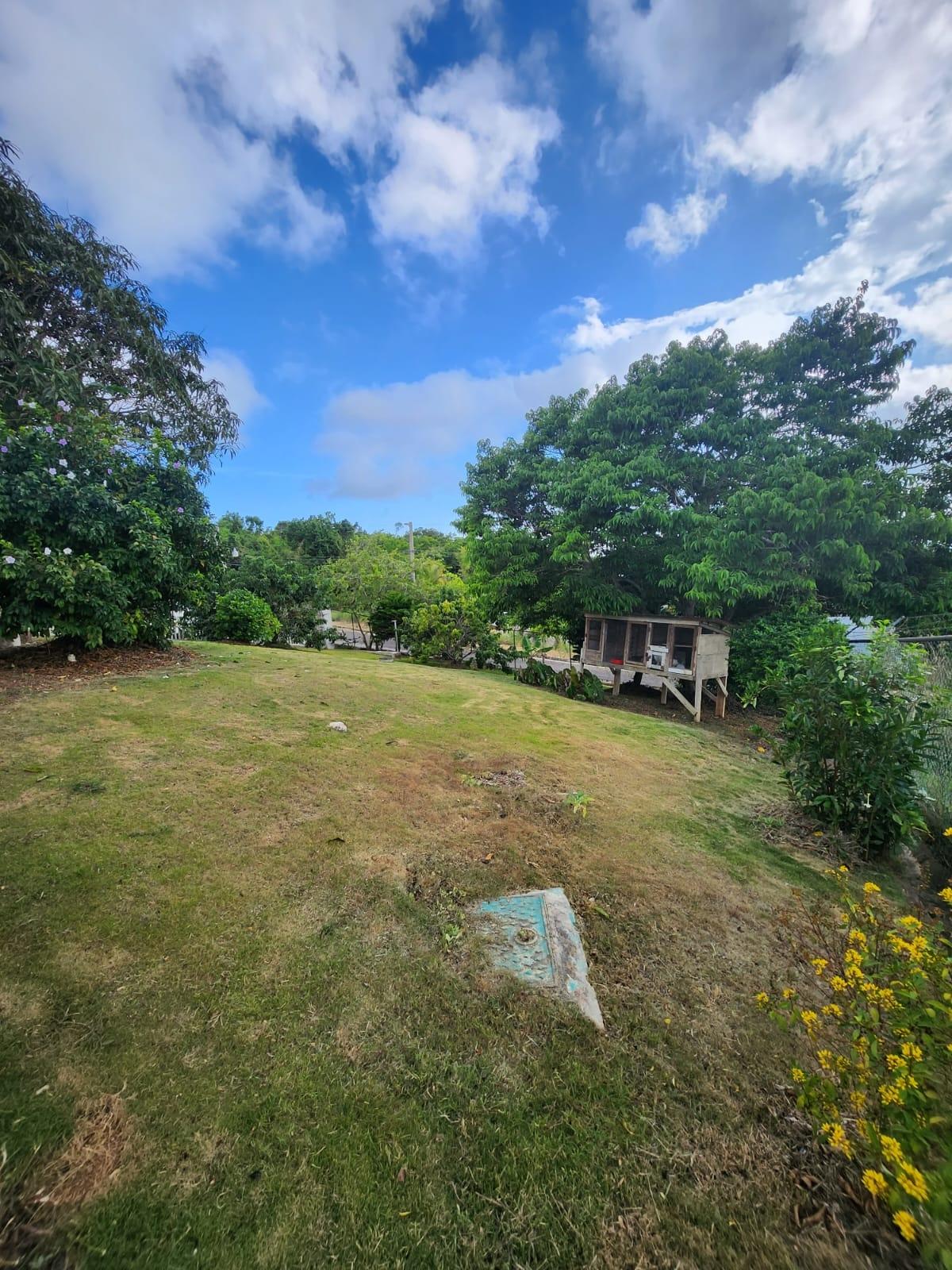 Stunning 2-Family Home for Sale in Spur Tree Heights, Jamaica