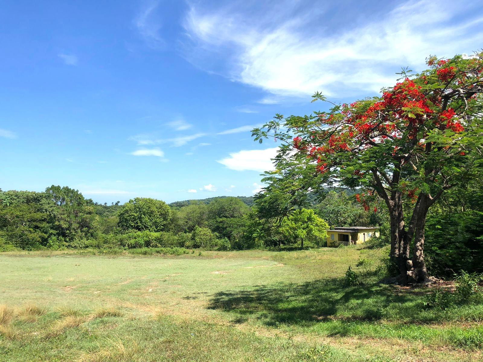 Affordable 2-Bedroom Bungalow in Gated Community - Mahogany Hill Homes