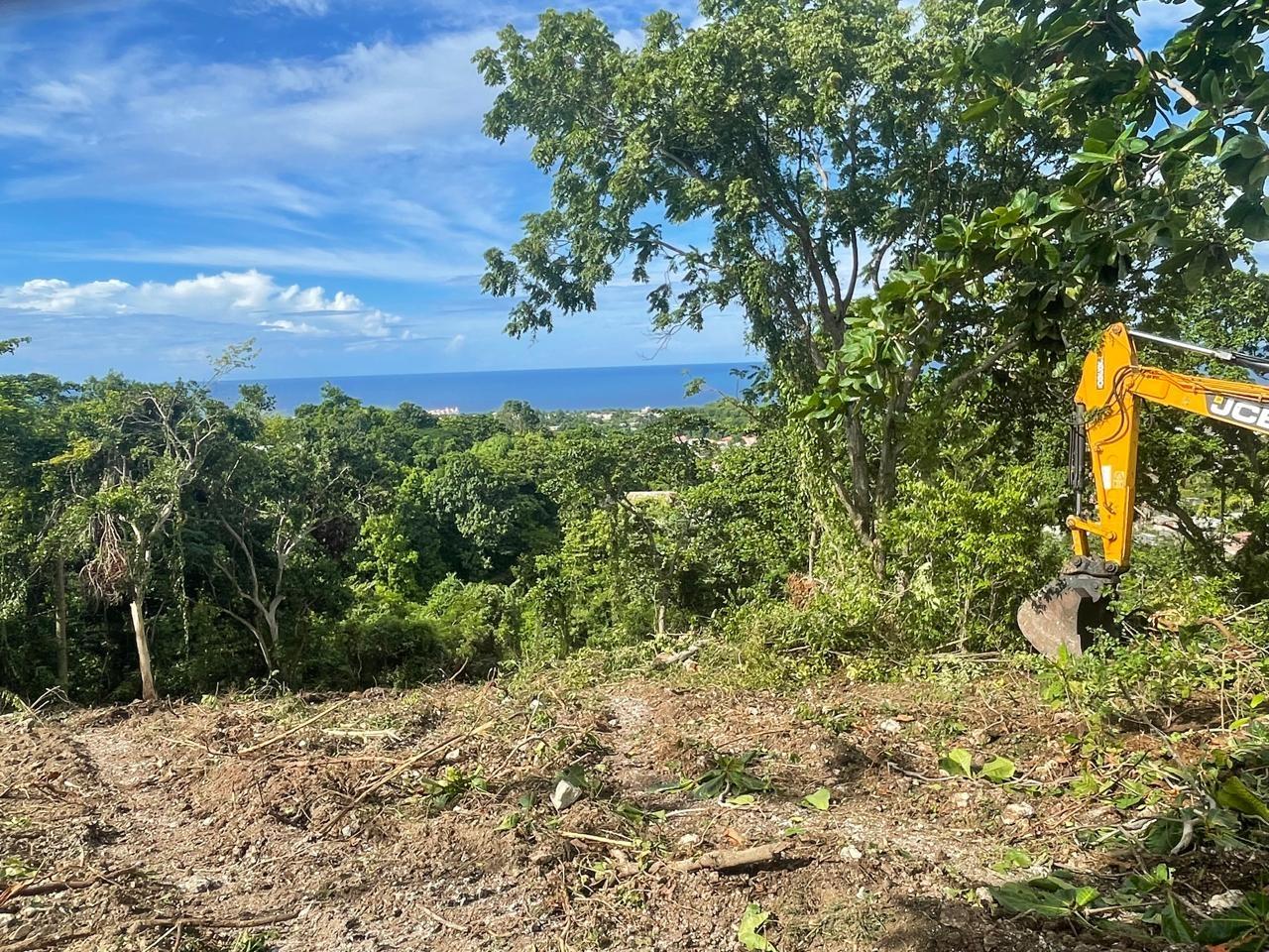 Prime Residential Lot for Sale in Runaway Bay, Jamaica