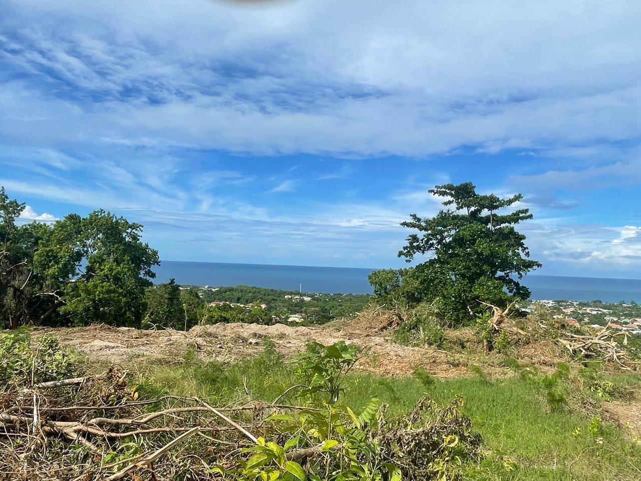 Prime Residential Lot for Sale in Runaway Bay, Jamaica