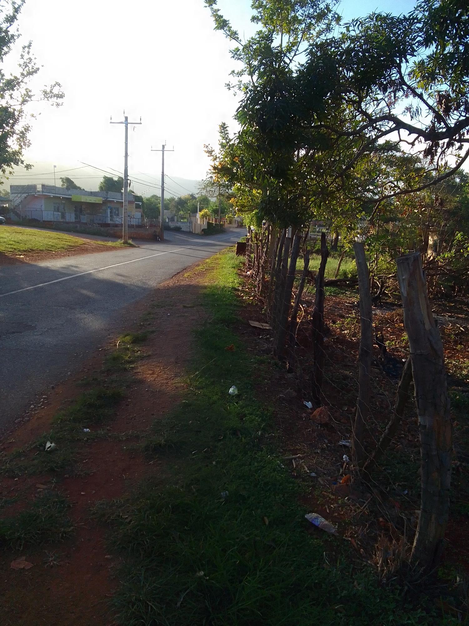 Prime Residential Lot for Sale in Prospect, Manchester, Jamaica