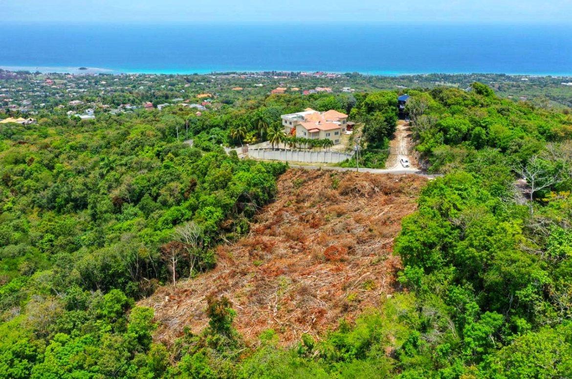 1.22-Acre Residential Lot for Sale in Torada Heights, Montego Bay, Jamaica