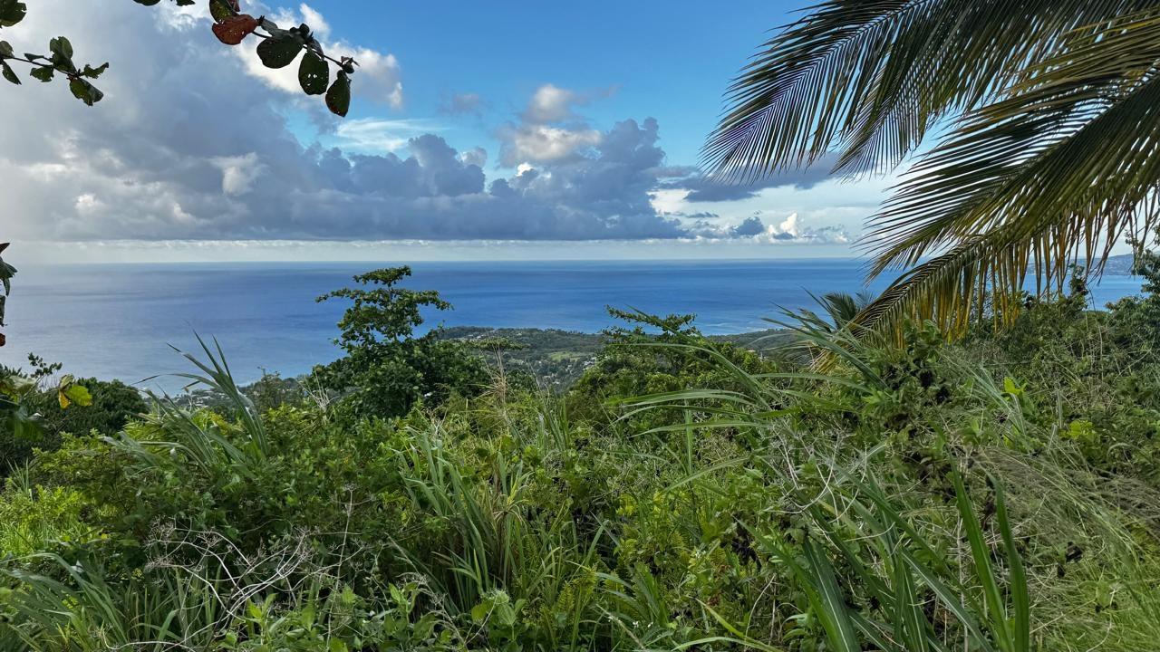 112.55 Acres Land for Sale in Friendship Grove, Hopewell, Hanover, Jamaica