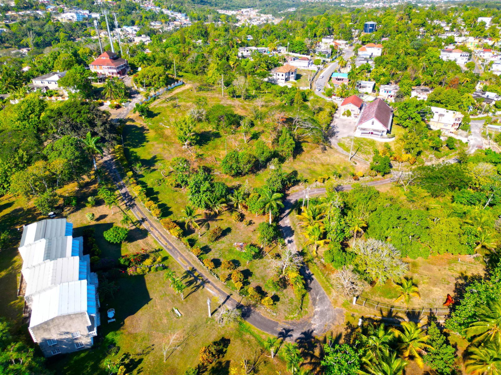 Montego Bay Estate for Sale – Event Venue & Business Opportunity | St ...