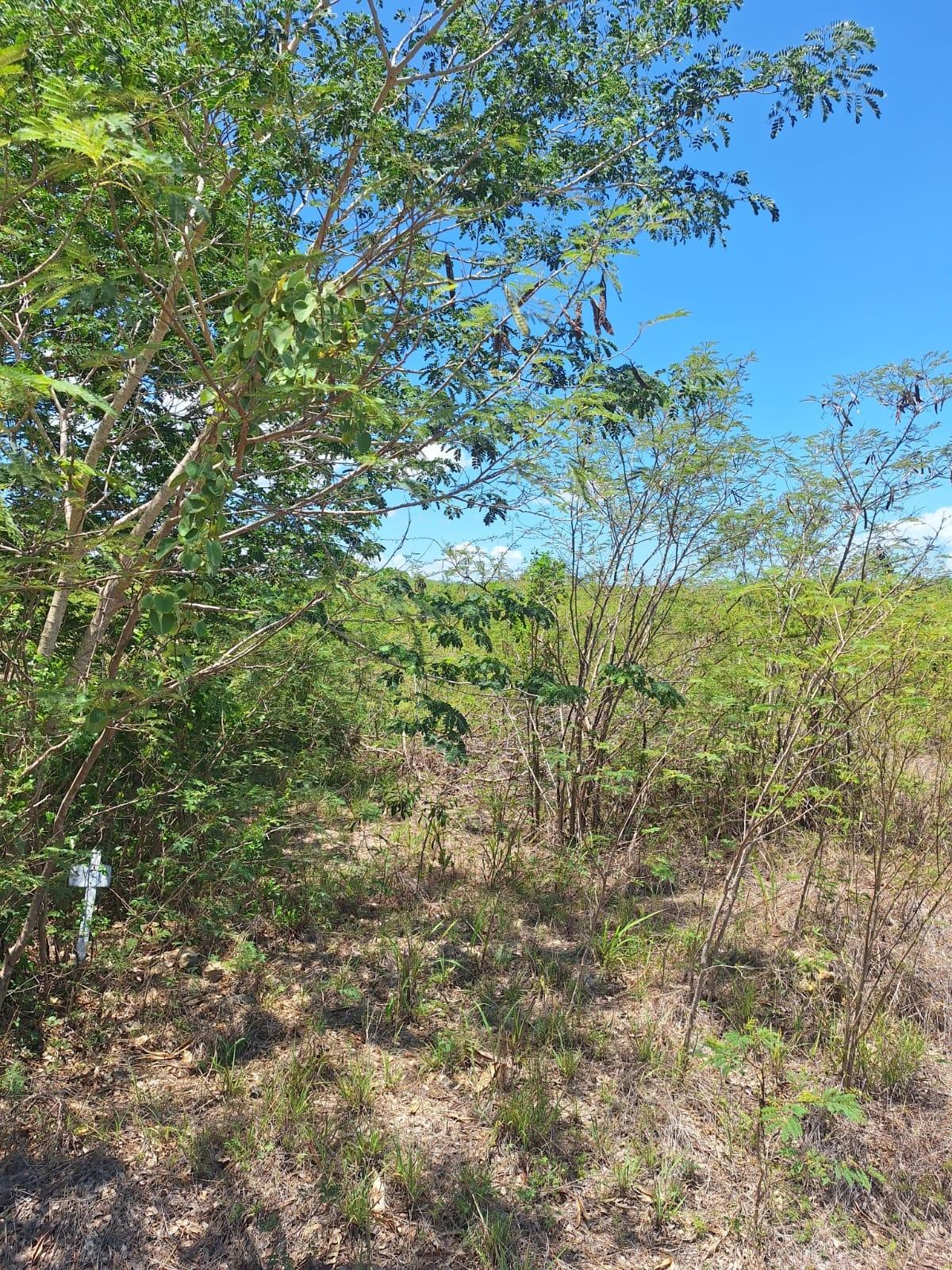 Prime Residential Lot for Sale in Twin Palms Estate, Clarendon, Jamaica
