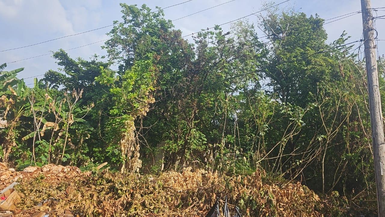 Residential Lot for Sale in Lilliput, Montego Bay – Prime Location Near ...