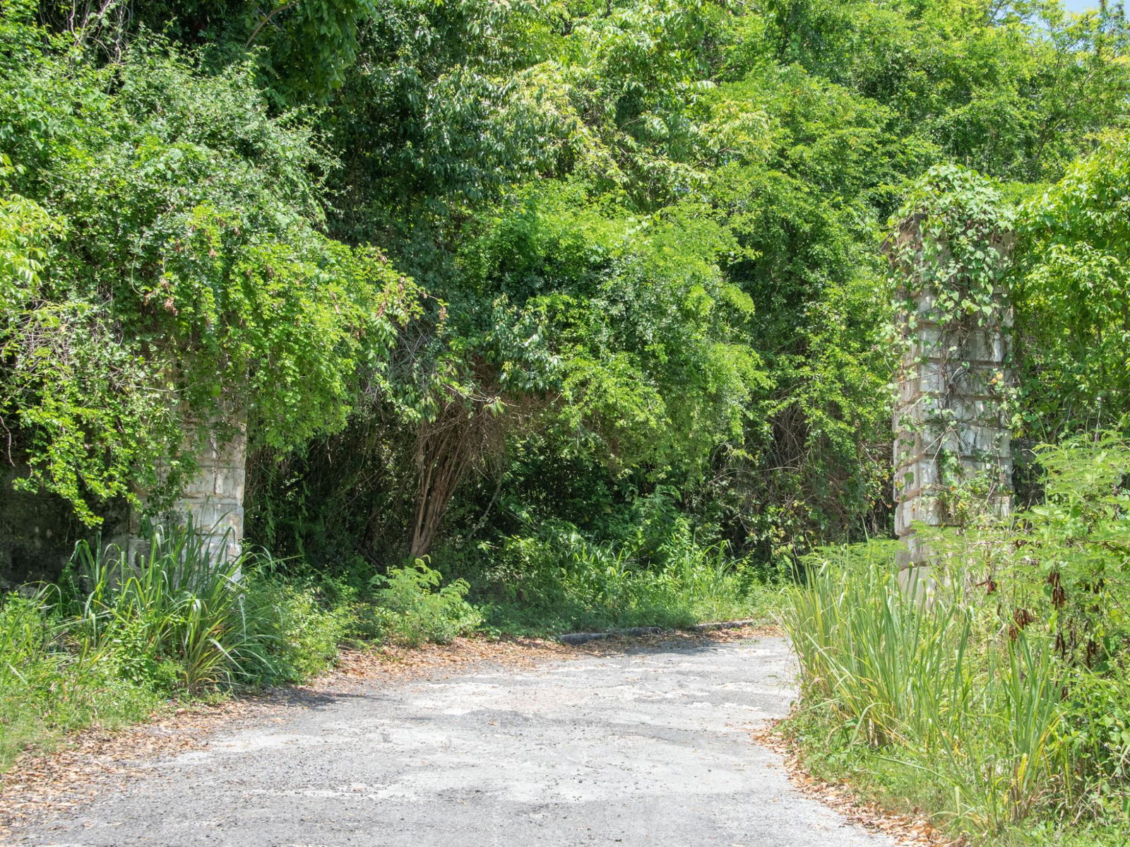 Residential Lot for Sale in Cardiff Hall, Runaway Bay, St Ann, Jamaica