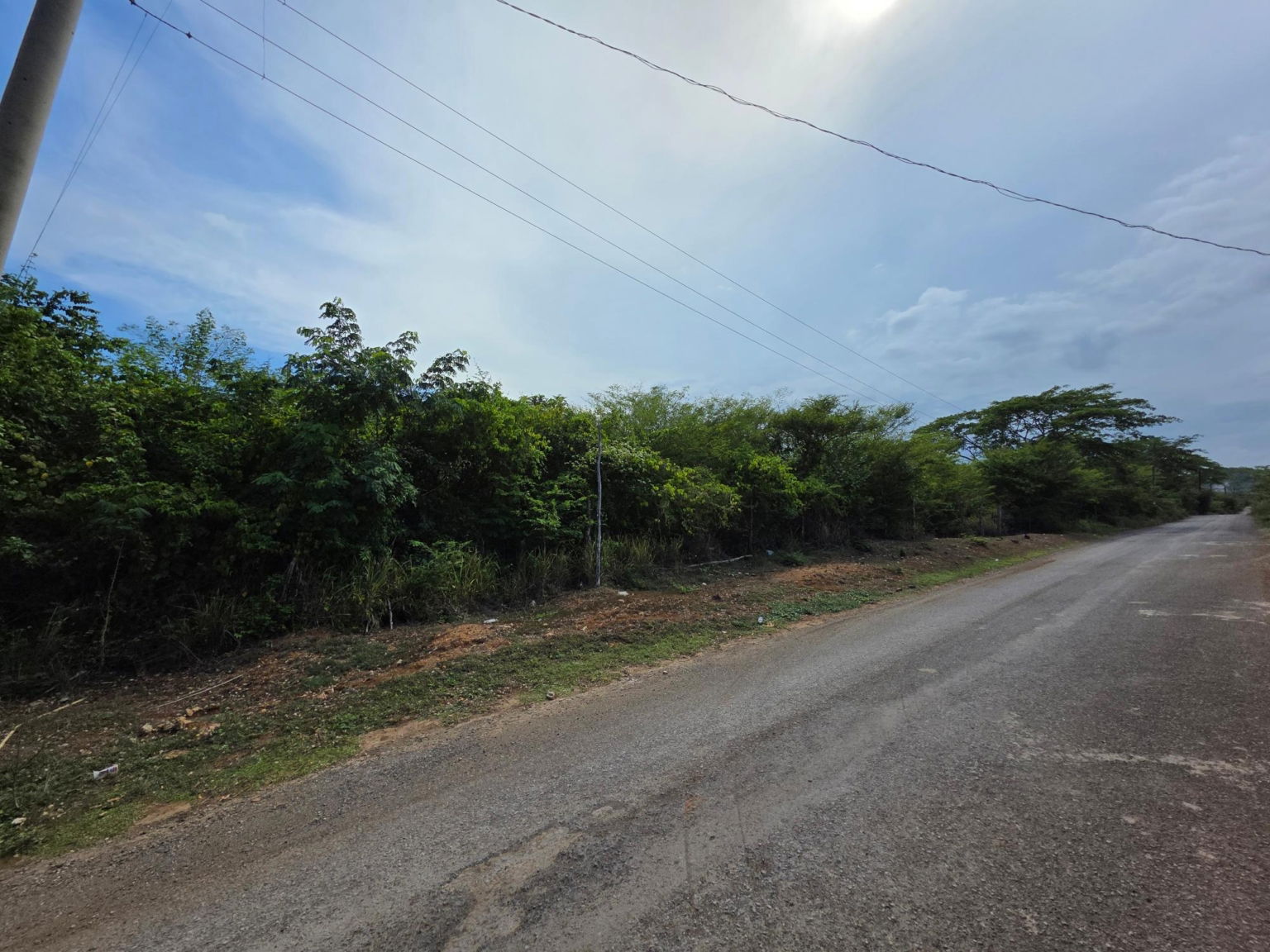 13.98 Acres Agricultural Land for Sale in St. Catherine, Jamaica