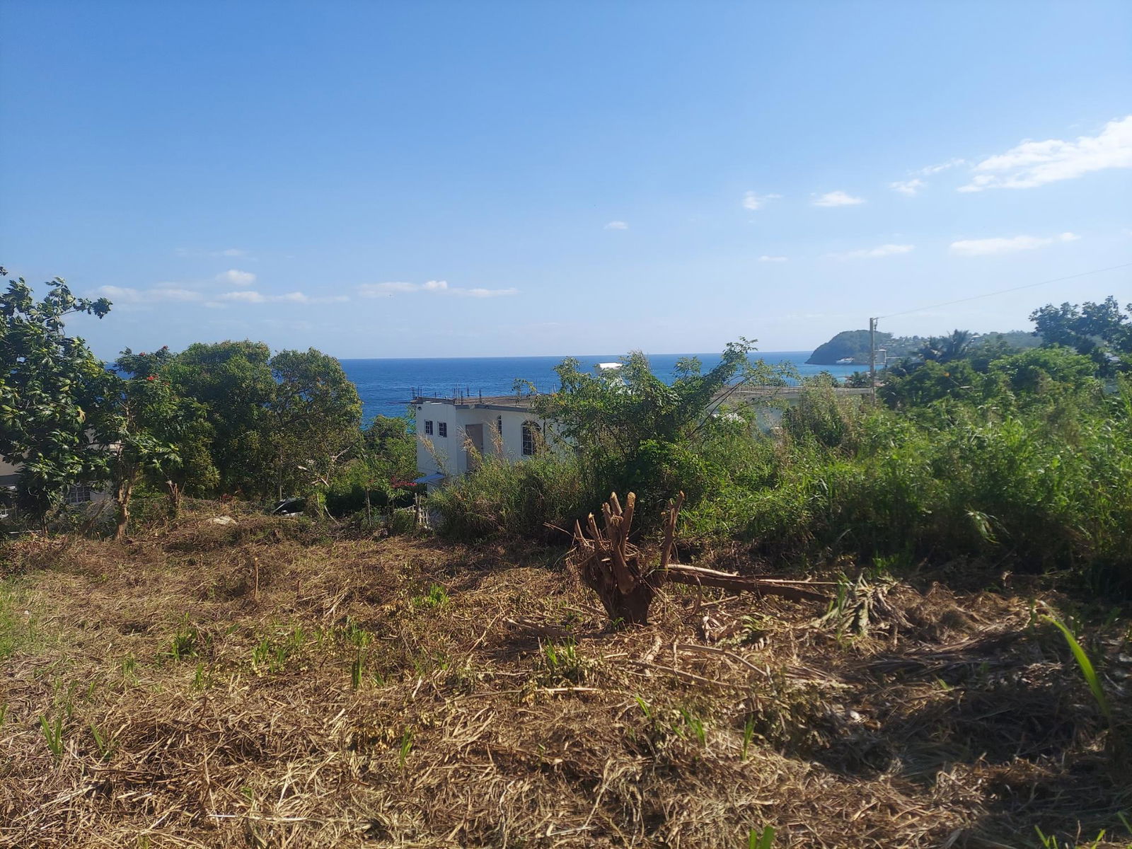 Prime Residential Lot for Sale in Orchard Housing Scheme, Hanover, Jamaica