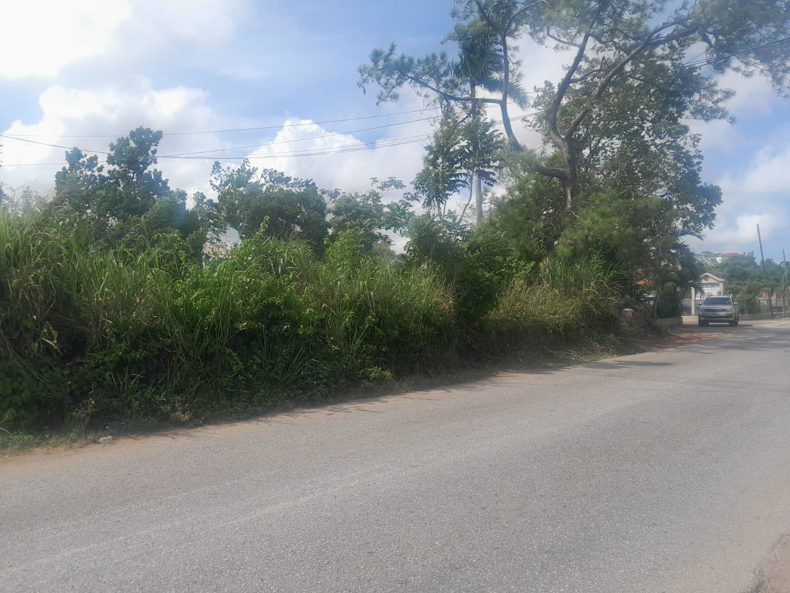 Residential Lot for Sale at 60 Caledonia Road, Manchester, Jamaica