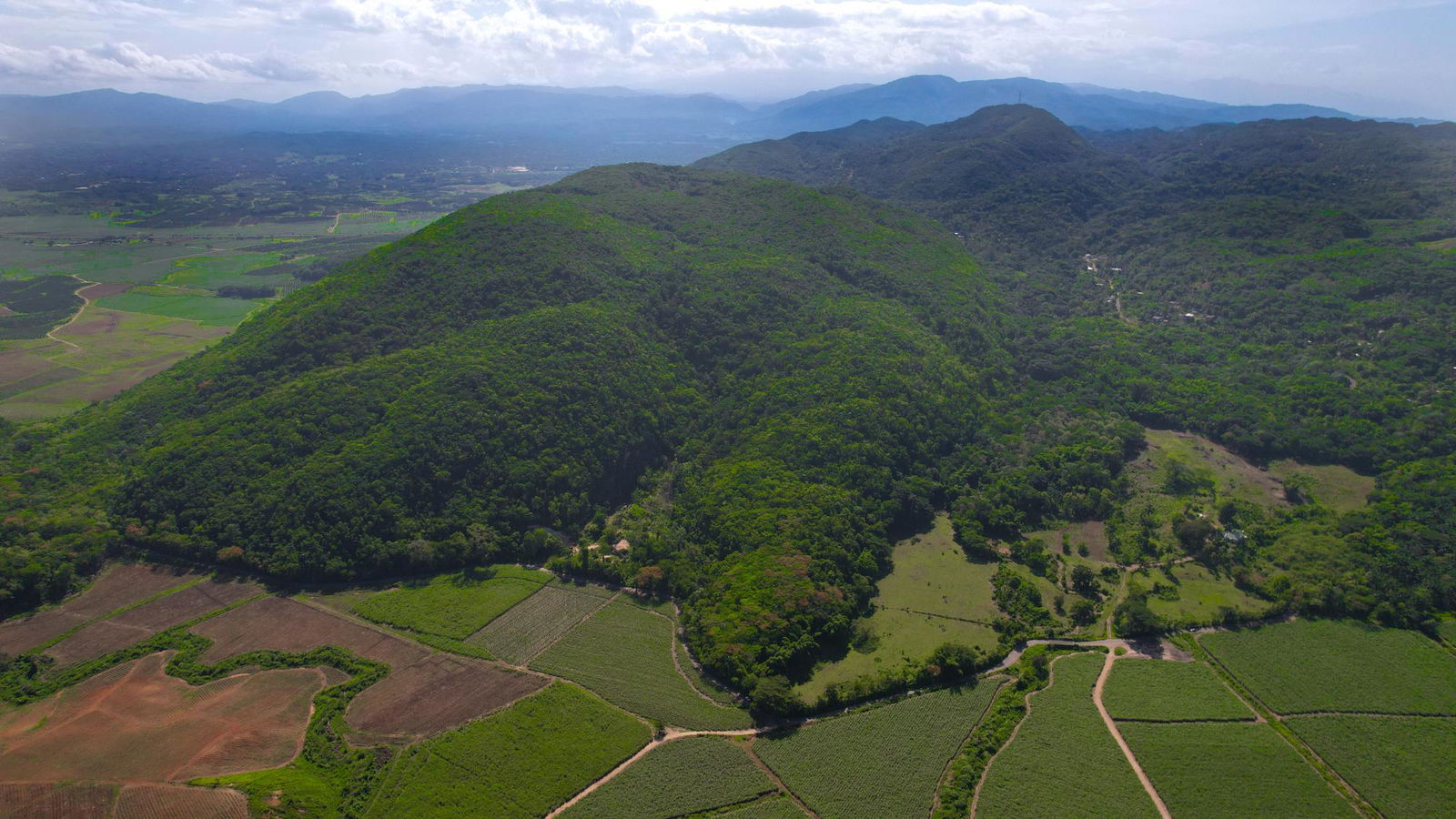 300 Acres Development Land for Sale in Bog Walk, St. Catherine, Jamaica