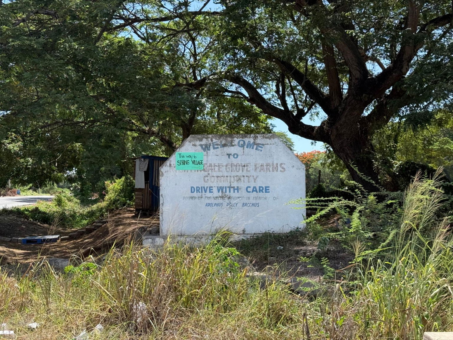 13.98 Acres Agricultural Land for Sale in St. Catherine, Jamaica