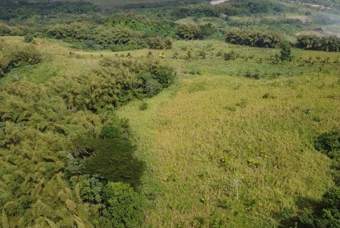 50 Acres Development Land for Sale in Pear Tree River, St. Thomas, Jamaica